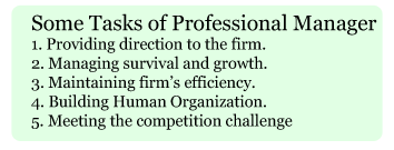 Skills, Tasks and Responsibilities of a Professional Manager