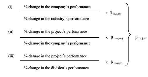 Project Beta, Portfolio Beta