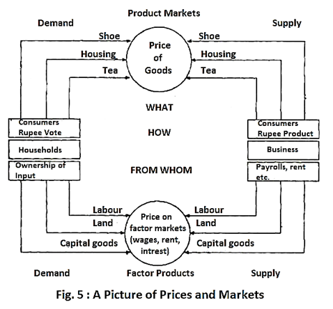 Basic problems of an economy working of Price Mechanism-2